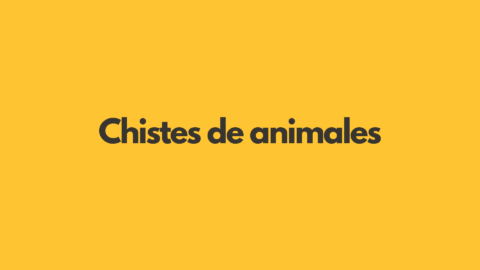 Chistes de animales | Vídeos Memes